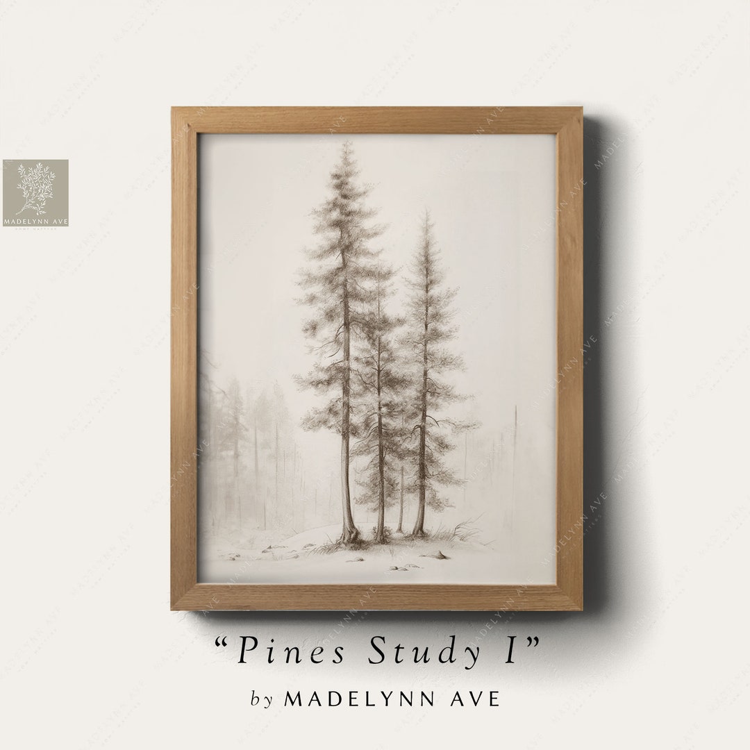 Modern Pines Wall Art Print Pine Tree Drawing for Cabin Sketch Rustic ...