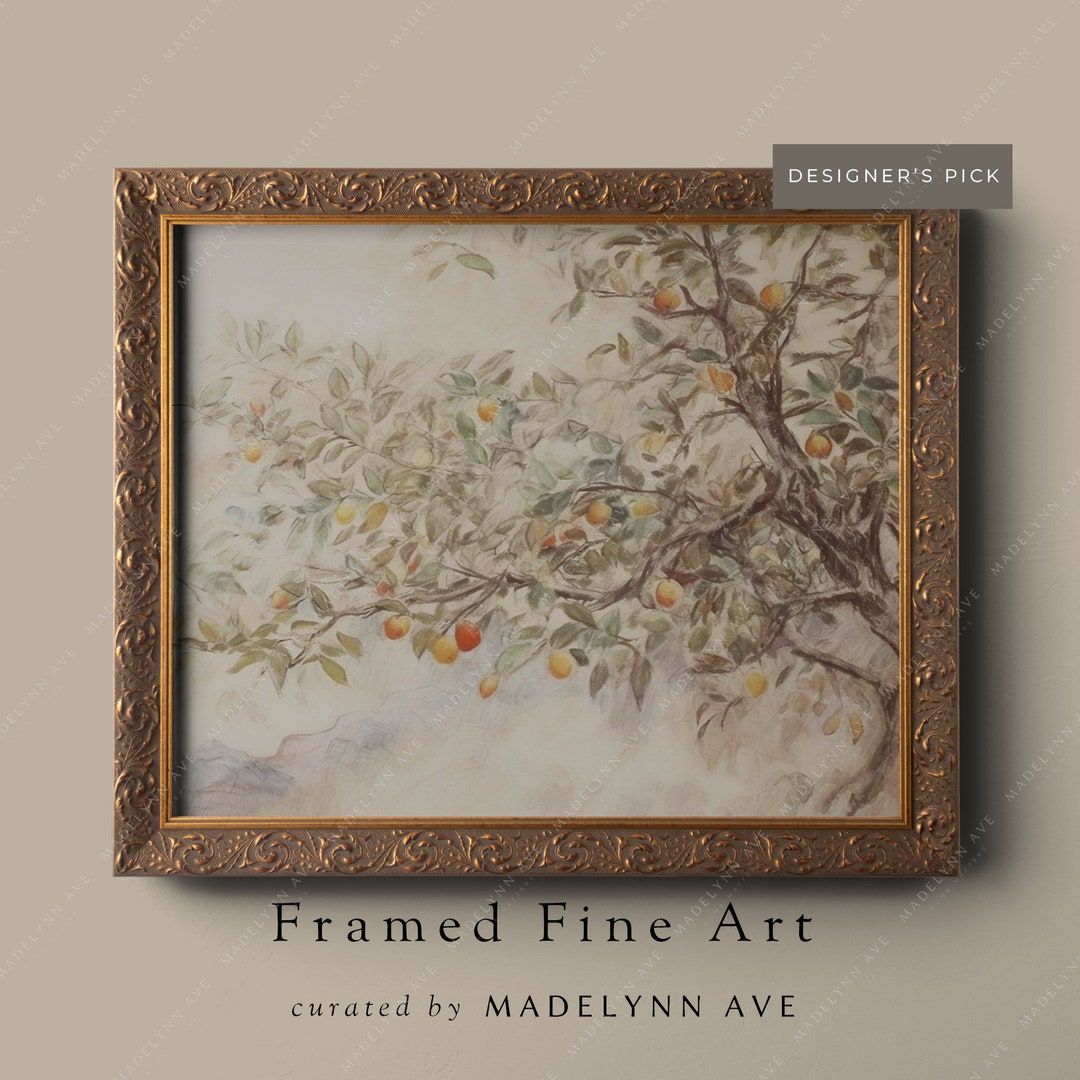 Framed Canvas Vintage Apple Tree Art Print Drawing Wall Art for Kitchen ...