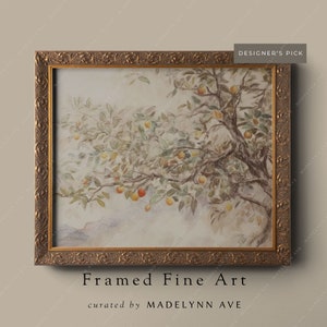 Framed Canvas Vintage Apple Tree Art Print Drawing Wall Art for Kitchen ...