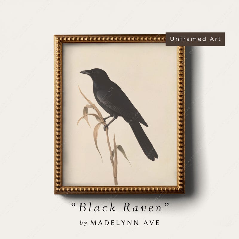 Halloween Raven Decor - Etsy