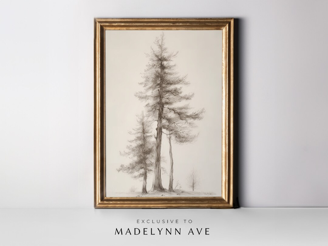 Modern Pine Tree Art Print, Pine Tree Sketch Art Print, Abstract ...