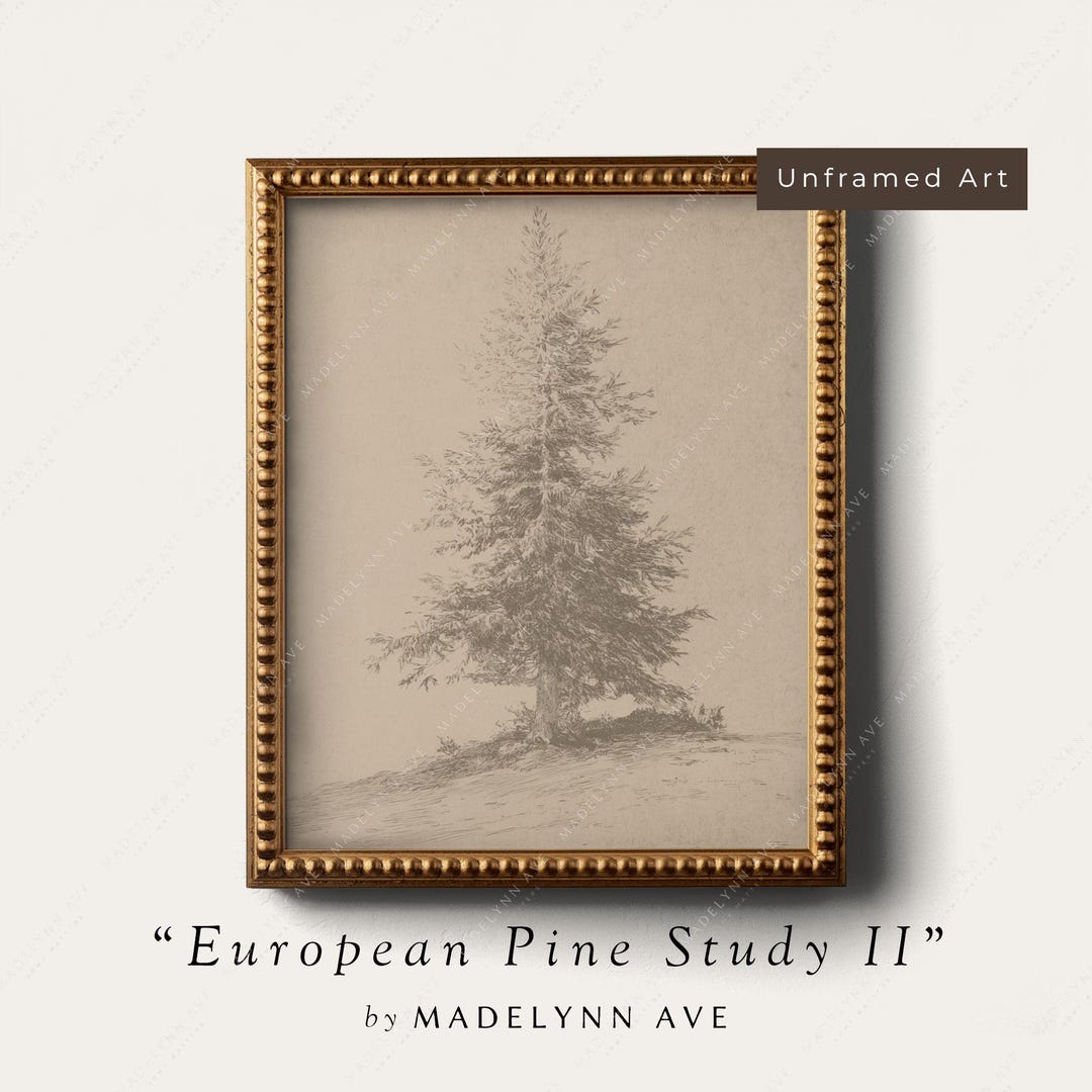Vintage Style Pine Tree Giclée Art Print - Unframed Vertical Neutral ...