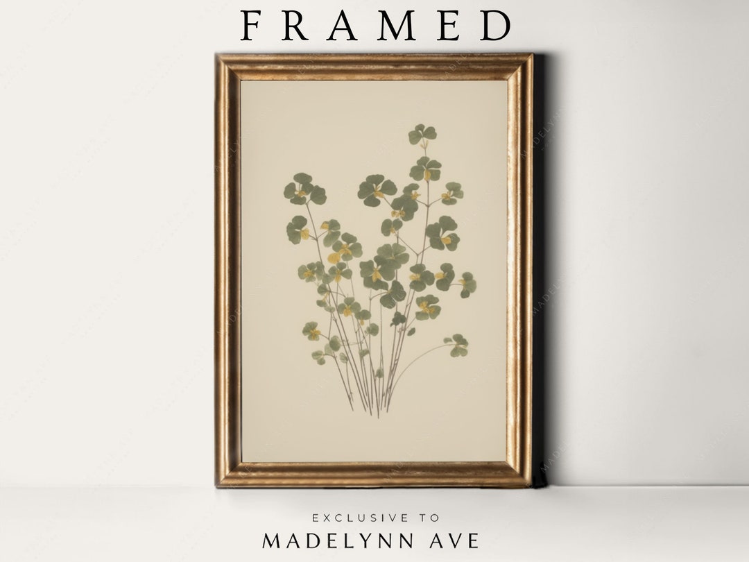 Framed Botanical Art, Framed Vintage Botanical Drawing, Botanical ...