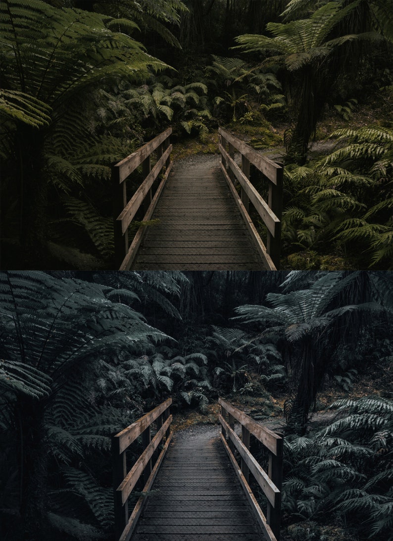 10 Moody Forest Lightroom Preset Bundle, Green Tones, Photo Effects ...