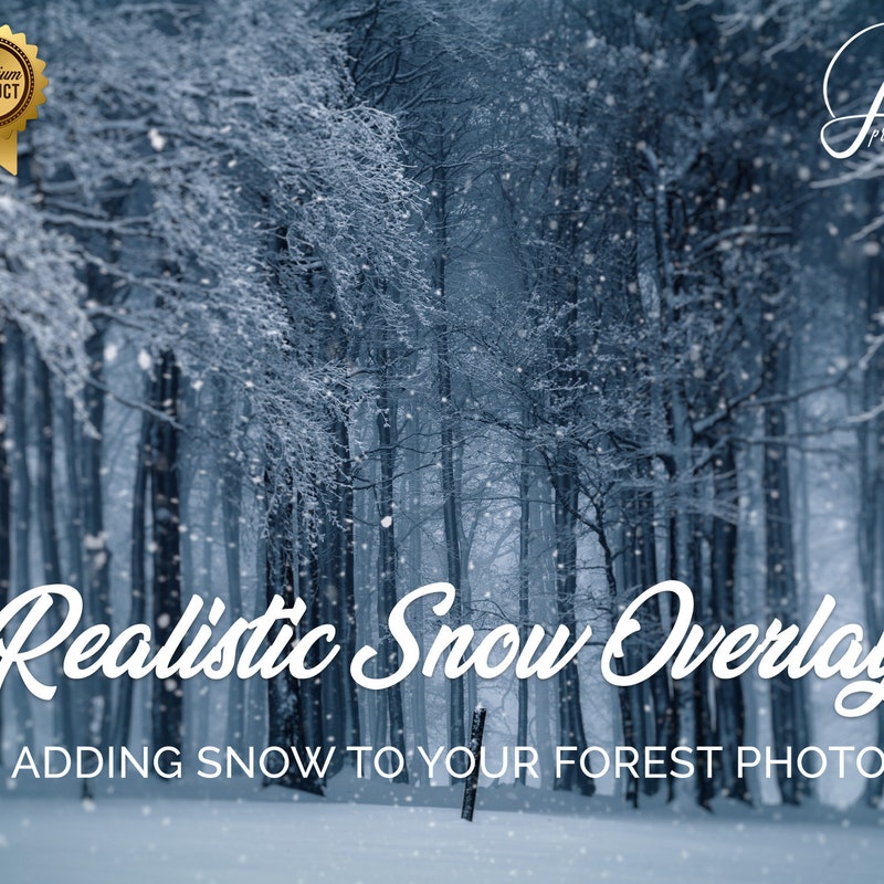 Snow Overlay - Etsy