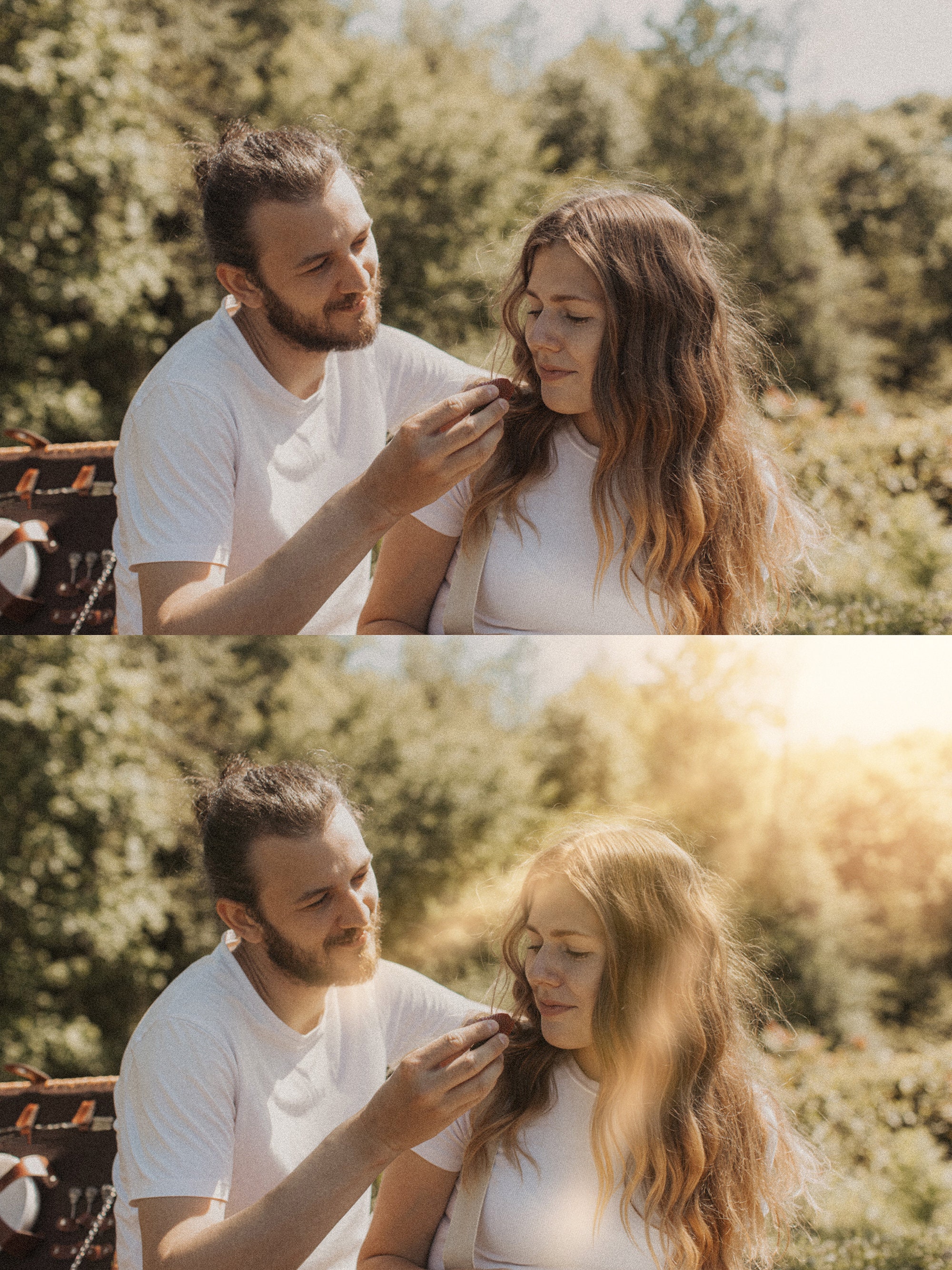 40 Natural Light and Sunlight Photo Overlay Creative Digital Effects ...