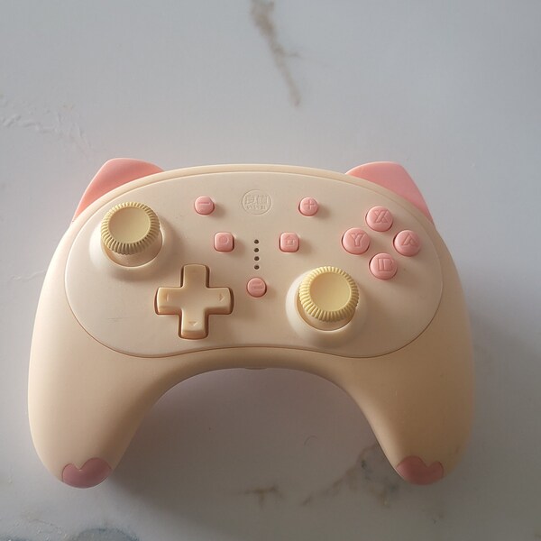 Custom Controller - Etsy