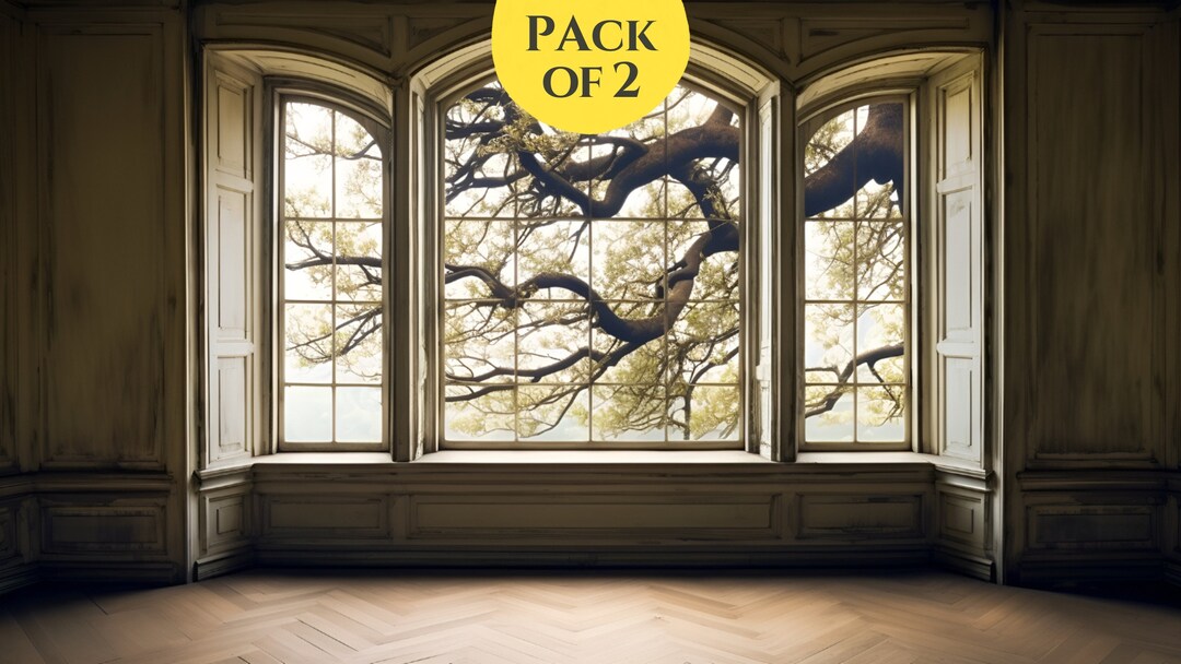 Castle Window Background Zoom Meetings Zoom Virtual Background - Etsy