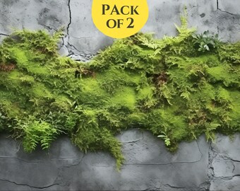 Fern & Brick Wall Backdrop for Zoom Meetings Blurred Zoom Virtual ...