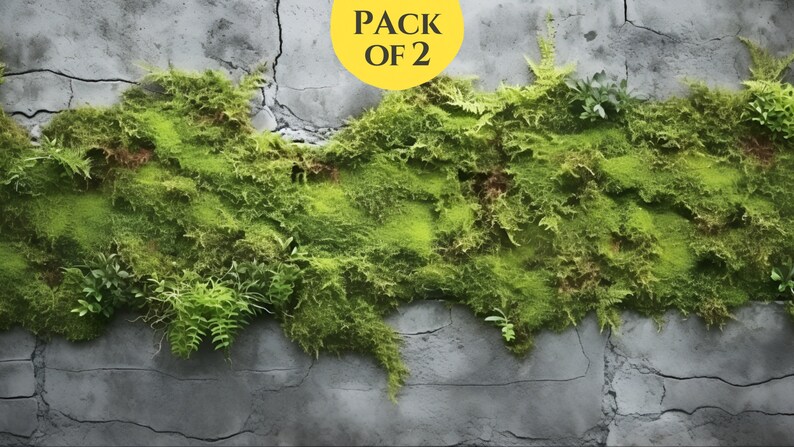 Moss Concrete Backdrop Zoom Meetings Zoom Virtual Backgrounds Microsoft ...