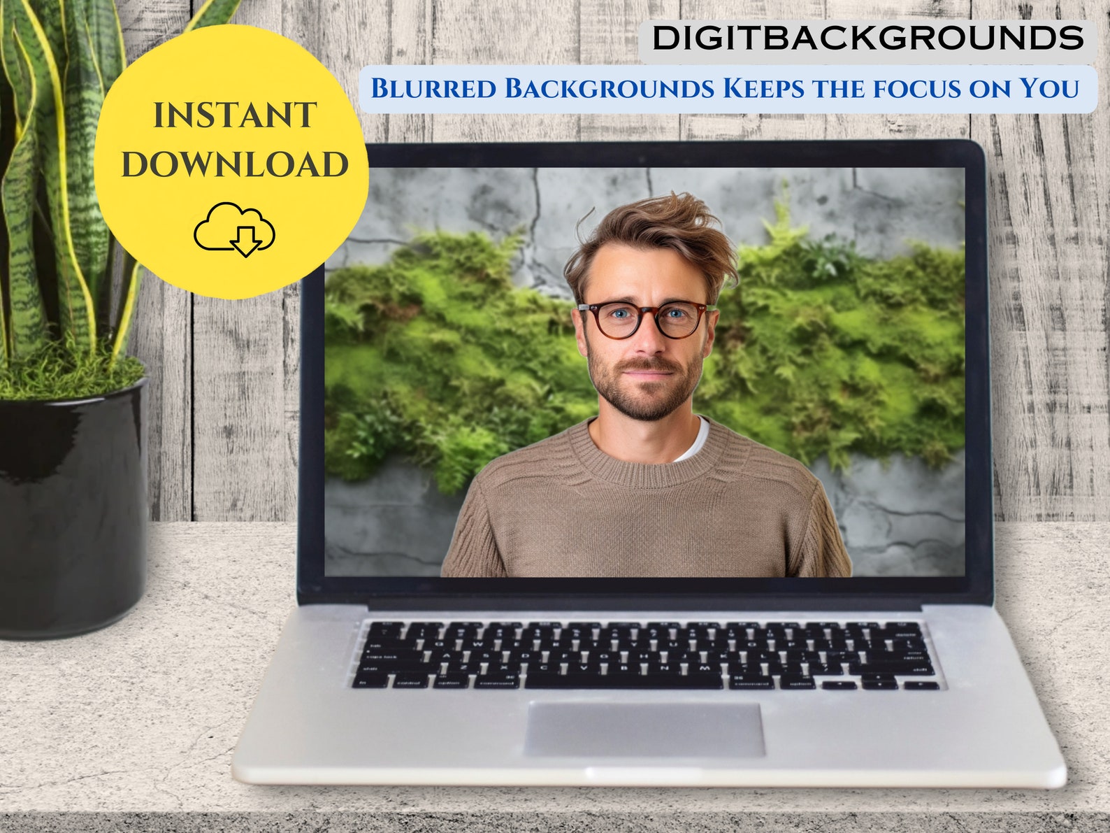 Moss Concrete Backdrop Zoom Meetings Zoom Virtual Backgrounds Microsoft ...