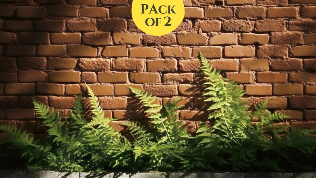 Fern & Brick Wall Backdrop for Zoom Meetings Blurred Zoom Virtual ...