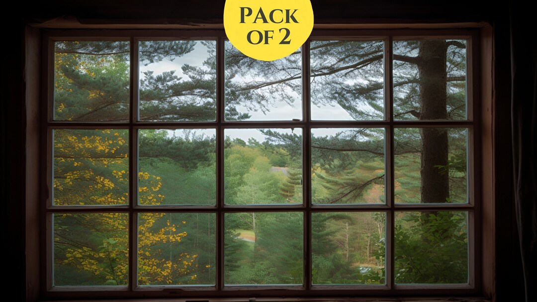 Forest Window Background Zoom Meetings Zoom Virtual Background ...