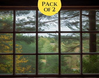 Forest Window Background Zoom Meetings Zoom Virtual Background ...