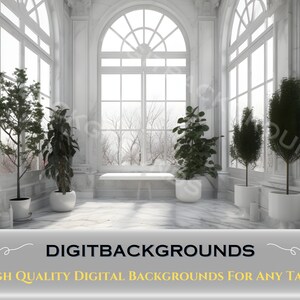 White Conservatory Background, Zoom Meeting, Zoom Virtual Backgrounds ...
