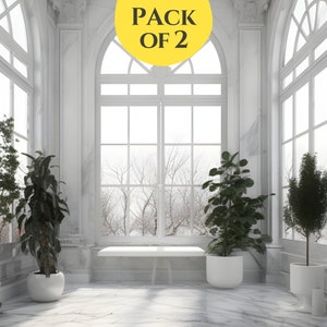 White Conservatory Background, Zoom Meeting, Zoom Virtual Backgrounds ...