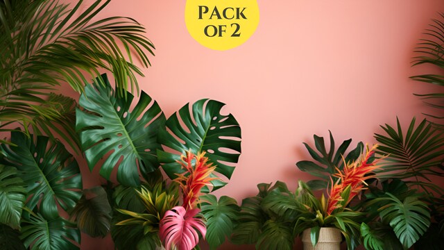 DigitBackgrounds - Etsy