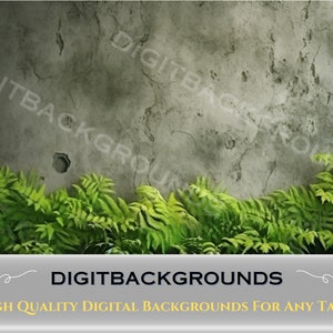 Fern & Concrete Wall Backdrop for Zoom Meetings Blurred Zoom Virtual ...