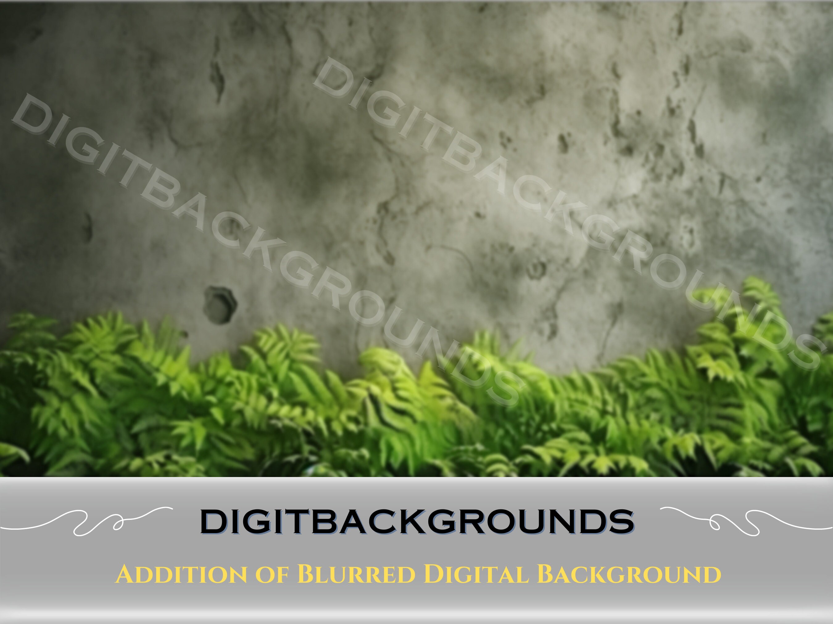 Fern & Concrete Wall Backdrop for Zoom Meetings Blurred Zoom Virtual ...