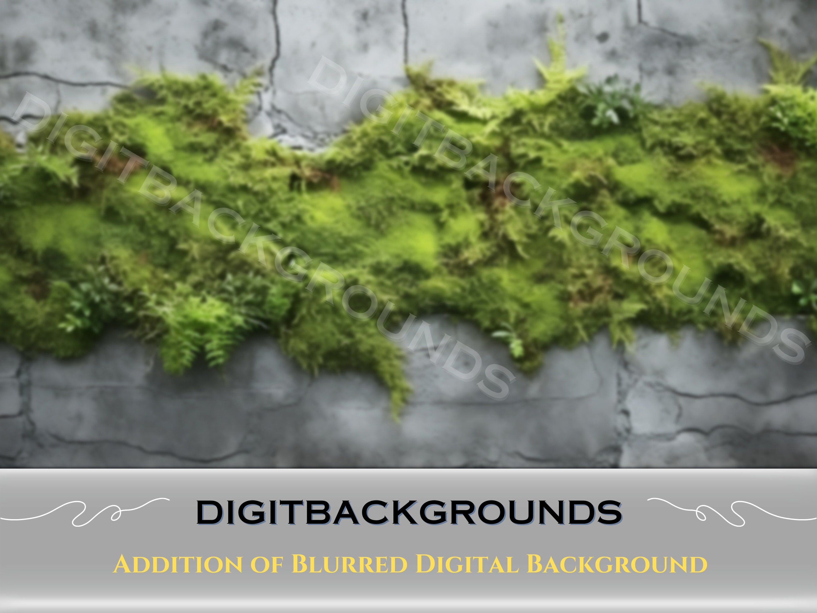 Moss Concrete Backdrop Zoom Meetings Zoom Virtual Backgrounds Microsoft ...