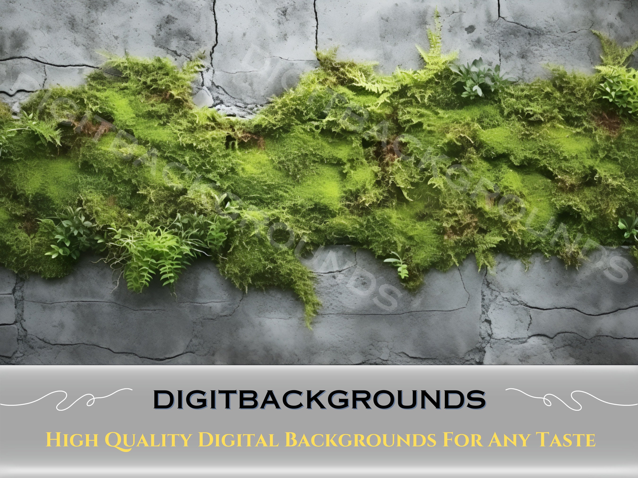 Moss Concrete Backdrop Zoom Meetings Zoom Virtual Backgrounds Microsoft ...