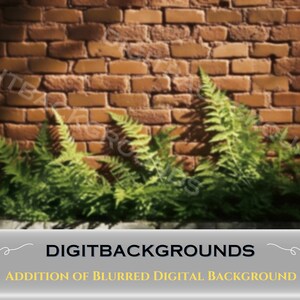 Fern & Brick Wall Backdrop for Zoom Meetings Blurred Zoom Virtual ...