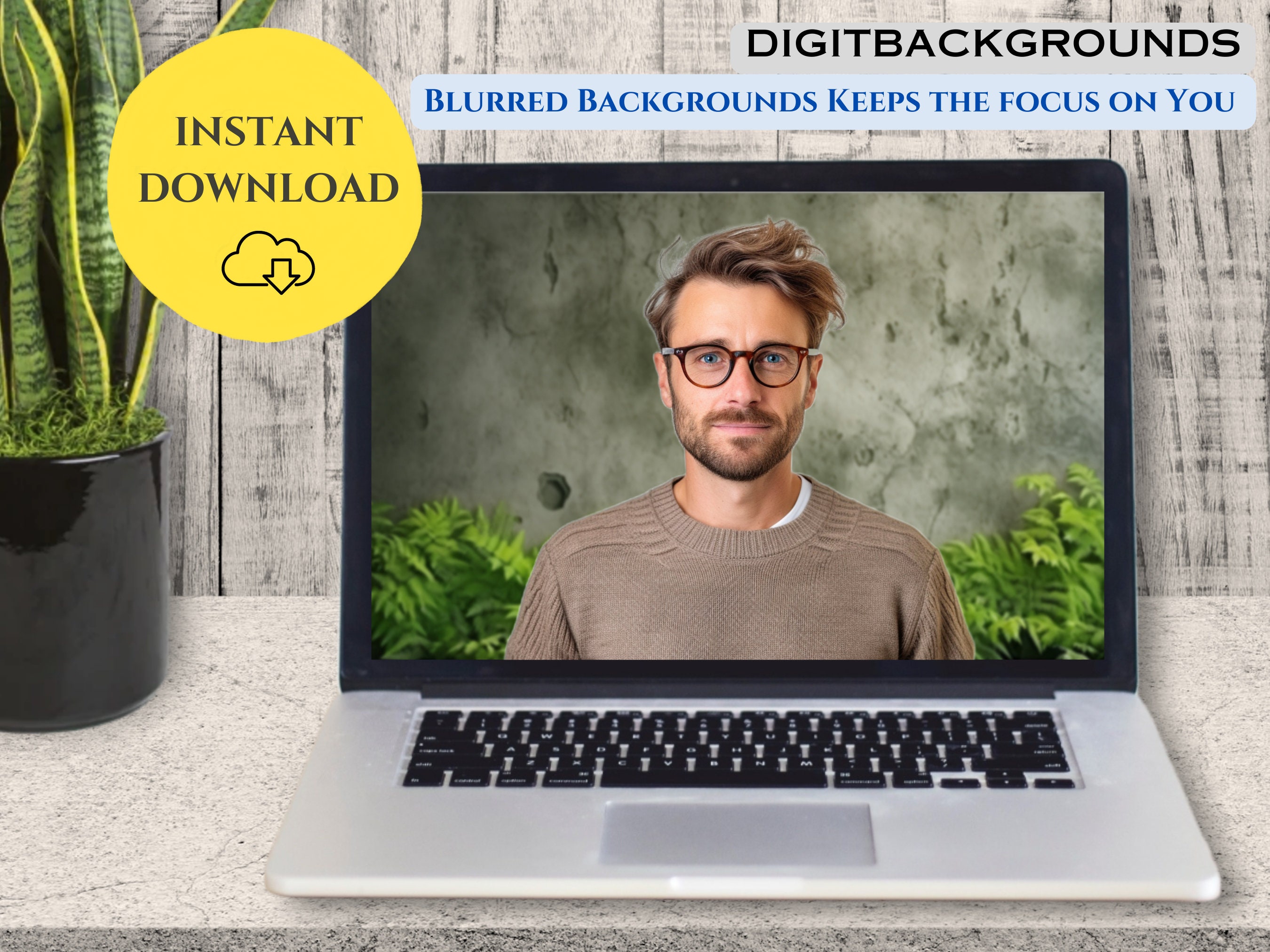 Fern & Concrete Wall Backdrop for Zoom Meetings Blurred Zoom Virtual ...