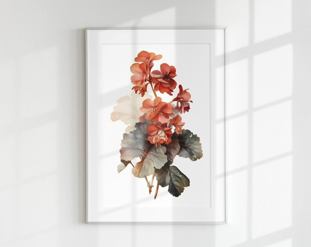 Begonia Print, Floral Print, Flower Print, Botanical Flower, Begonia ...