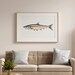 Mackerel Print, Fish Print, Mackerel, Wall Art, Wall Print, Fish Poster ...