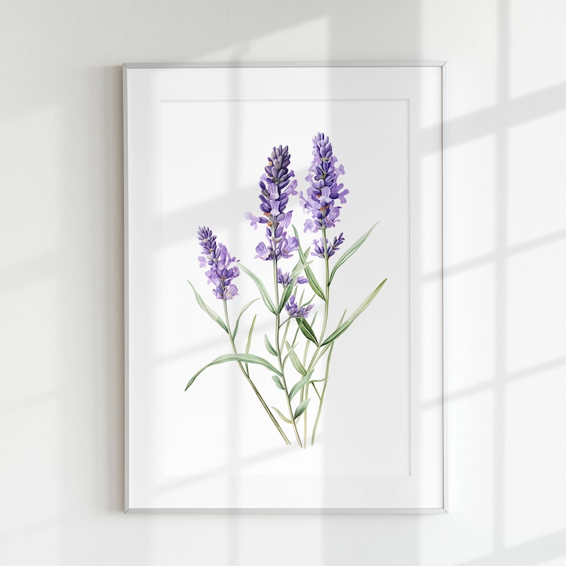 Lavender Print - Etsy