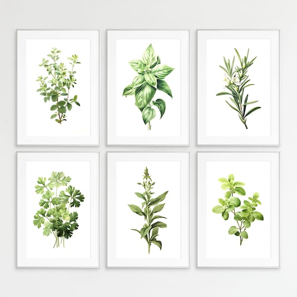 Herb Print - Etsy