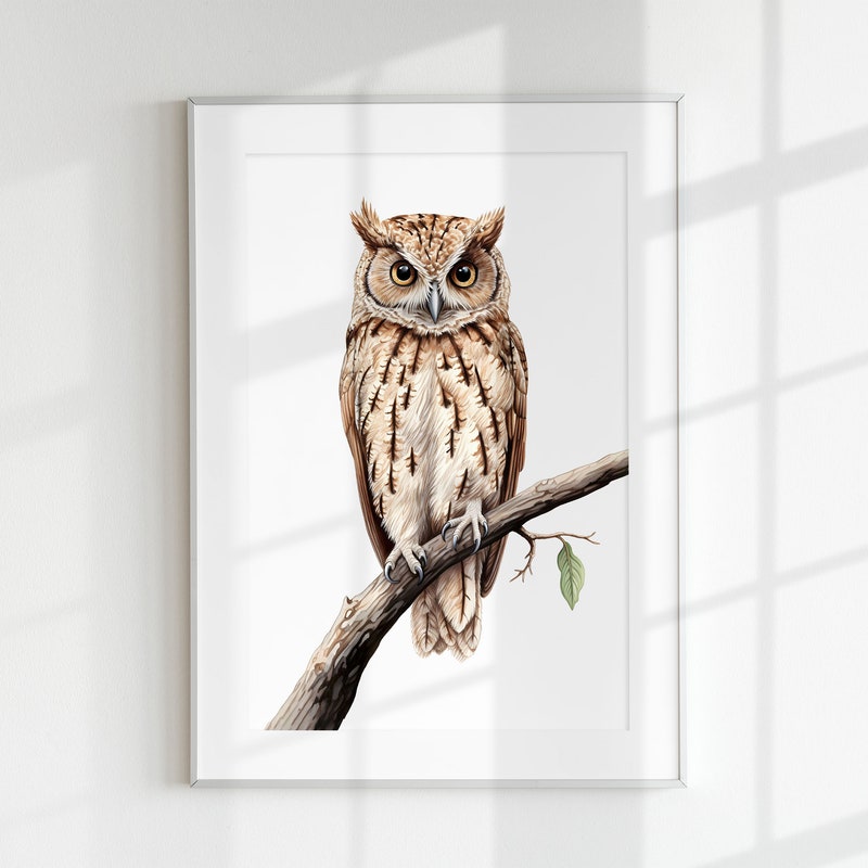 Lithographed Owl - Etsy