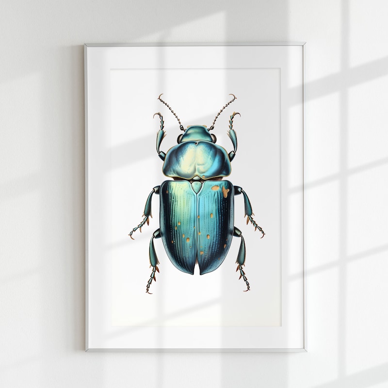 Beetle Print - Etsy