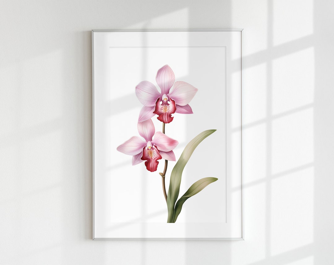 Orchid Print, Floral Print, Flower Print, Botanical Print, Orchid, Wall ...