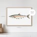 Mackerel Print, Fish Print, Mackerel, Wall Art, Wall Print, Fish Poster ...