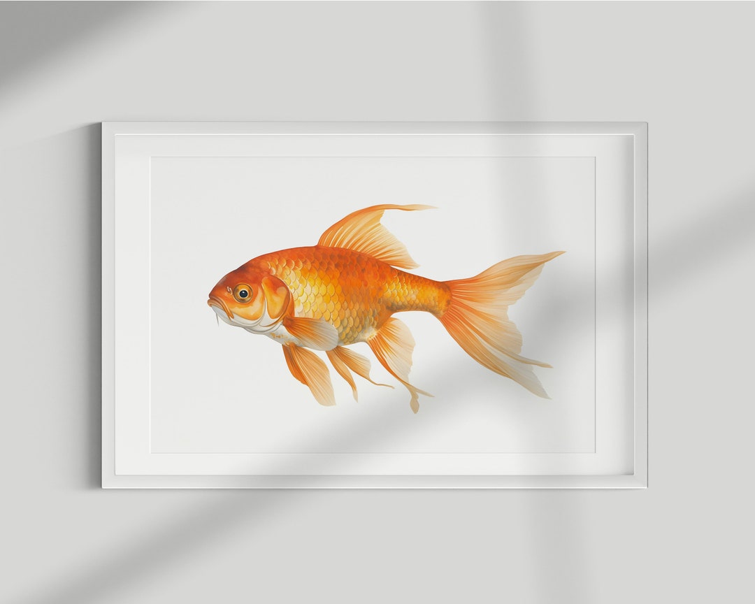 Goldfish Print, Fish Print, Goldfish, Wall Art, Wall Print, Fish Poster ...