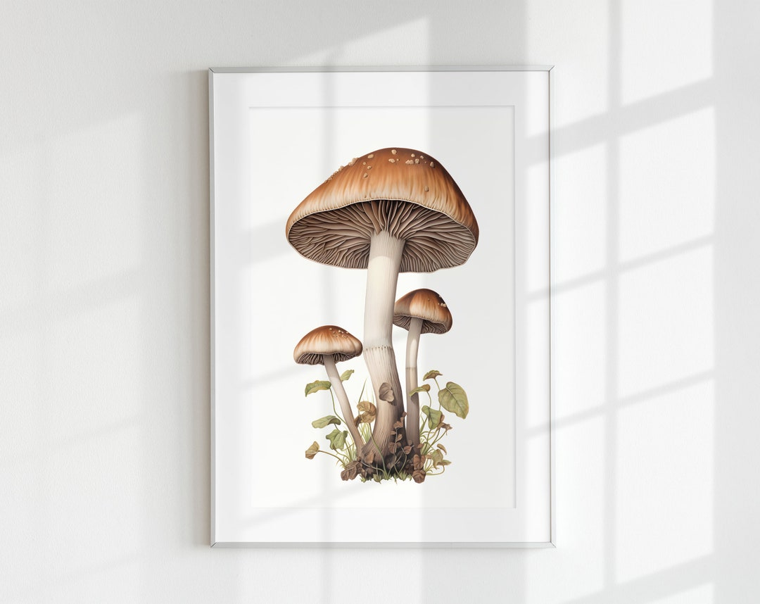 Psilocybin Mushroom, Mushroom, Mushroom Print, Botanical Guide, Fungi ...
