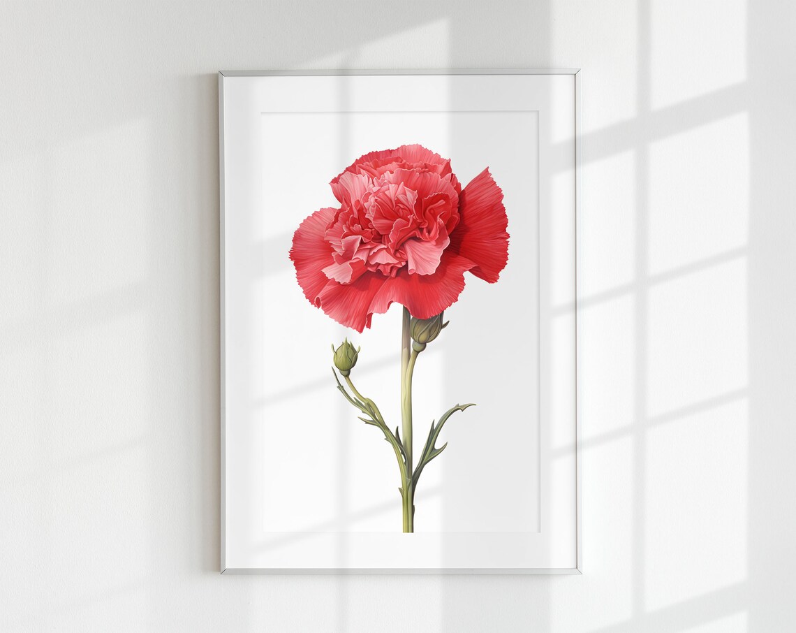 Carnation Print, Floral Print, Flower Print, Botanical Print, Carnation ...