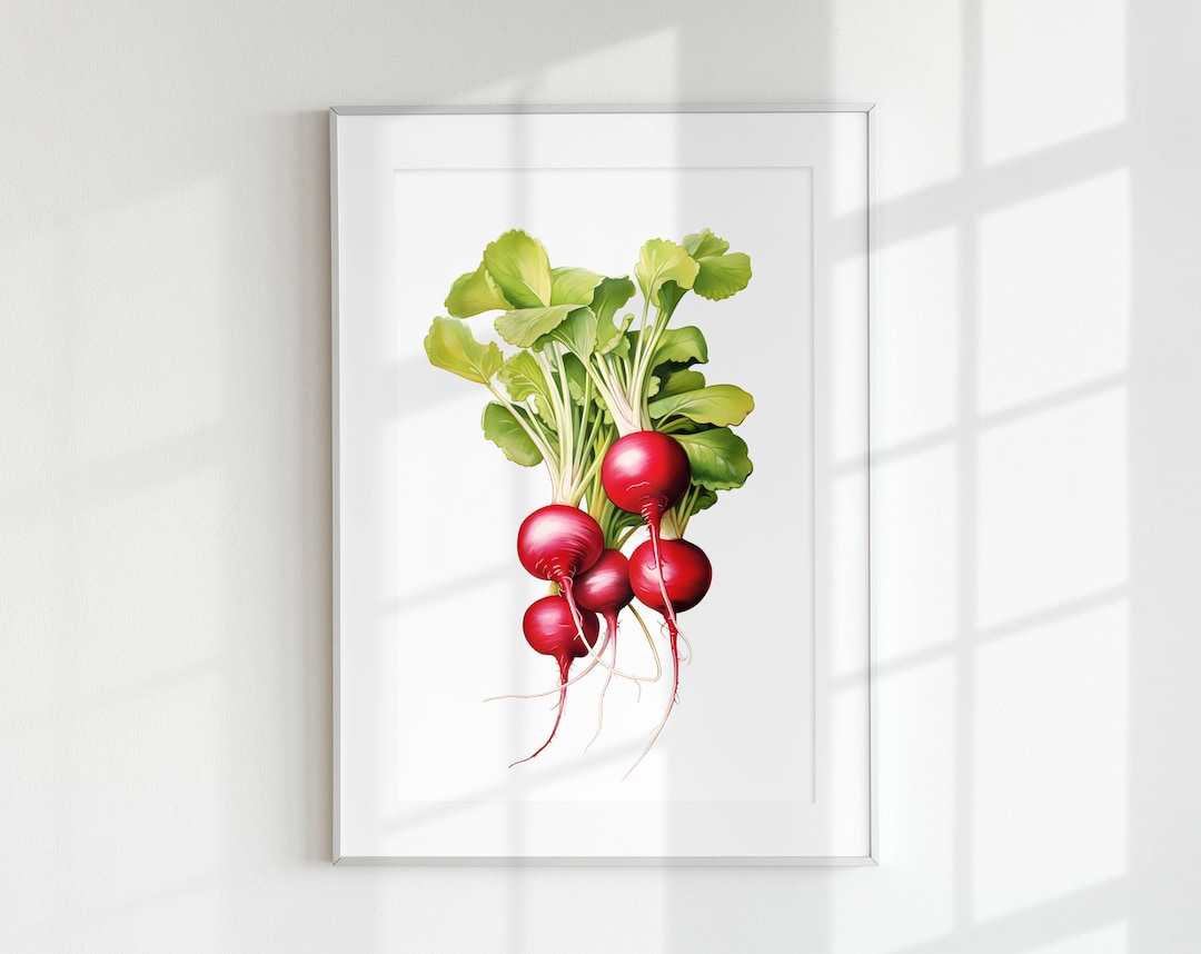 Radish Print Vegetable Food Poster Healthy Wall Art Decoration ...