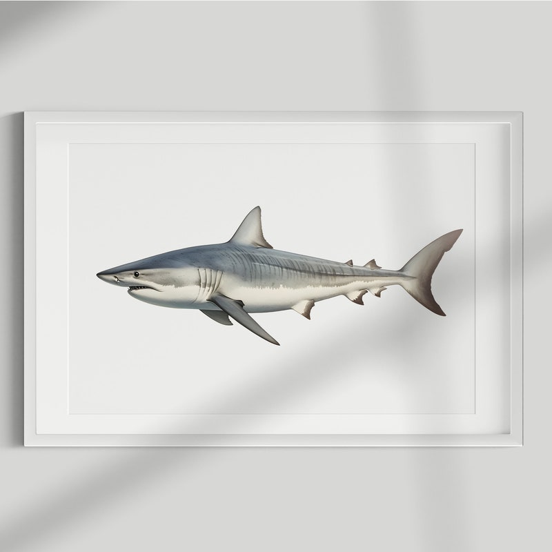 Shark Prints - Etsy