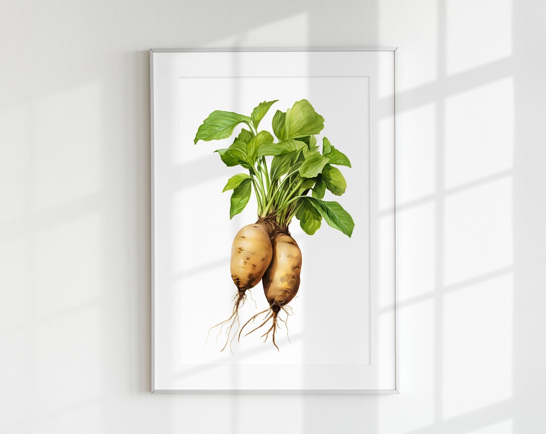 Potato Print Vegetable Food Poster Healthy Wall Art Decoration ...