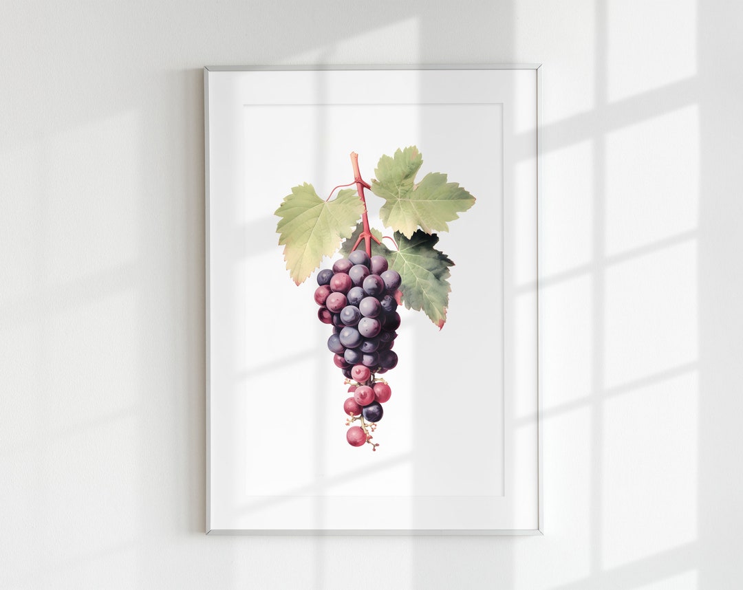 Grape Print, Fruit Print, Plant Print, Botanical Fruits, Grape Branch ...