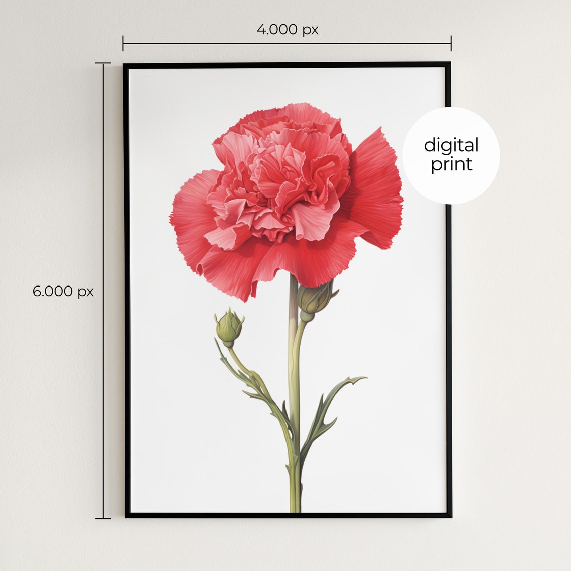 Carnation Print, Floral Print, Flower Print, Botanical Print, Carnation ...