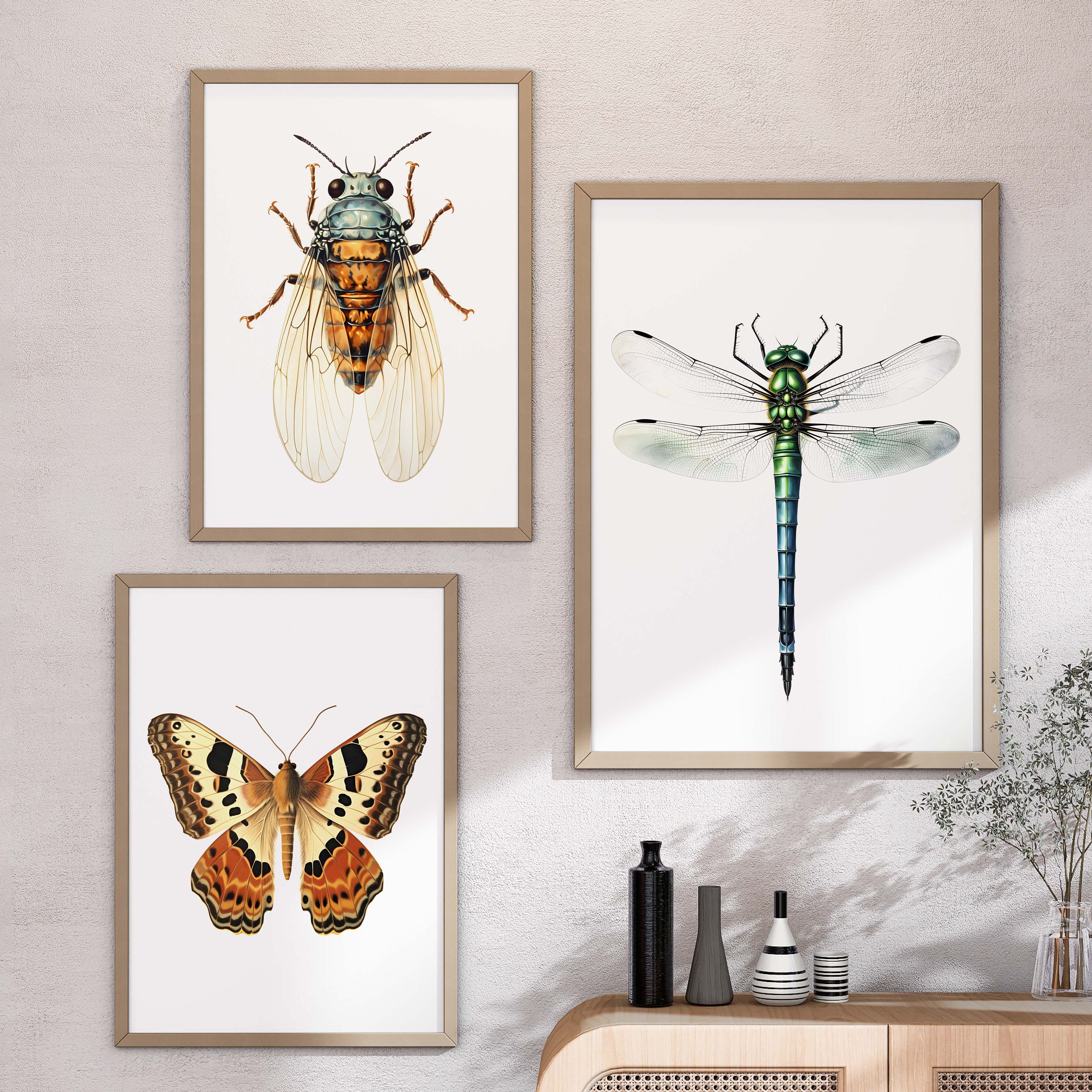 Bugs Print Bundle, Insect Prints, Set of 6, Botanical Guide, Wall Art ...
