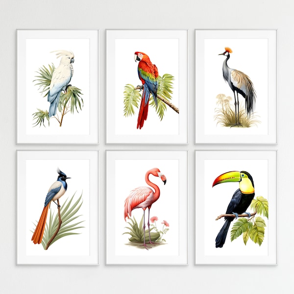 Tropical Birds Posters - Etsy
