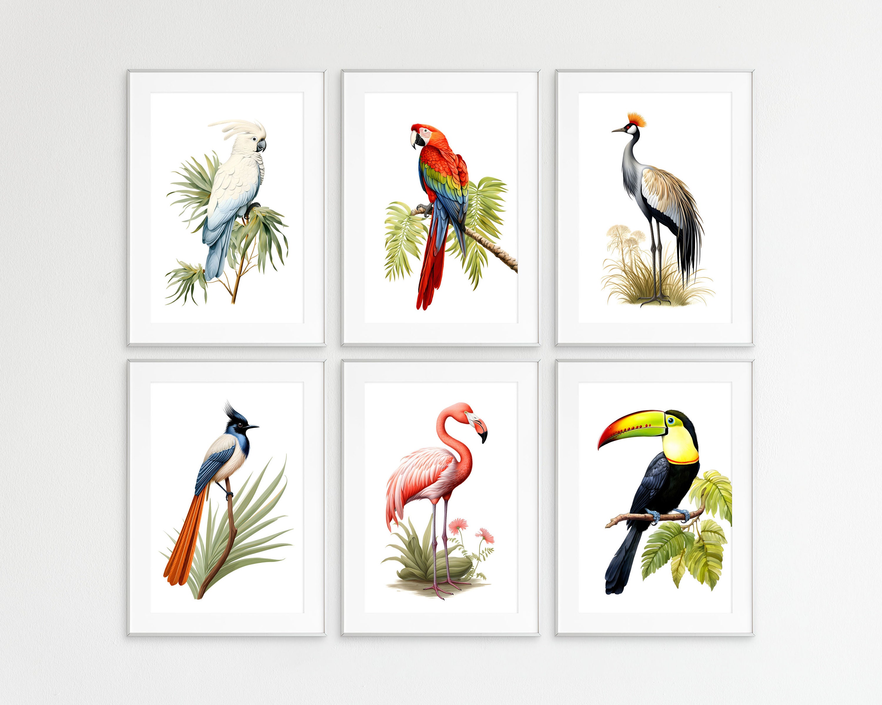 Tropical Birds Print Bundle, Bird Prints, Set of 6, Botanical Guide ...