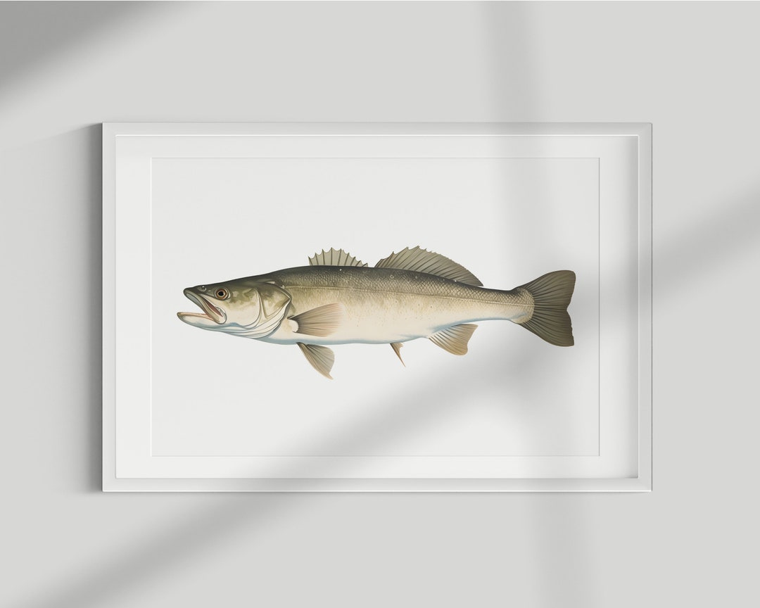 Haddock Print, Fish Print, Haddock, Wall Art, Wall Print, Fish Poster ...