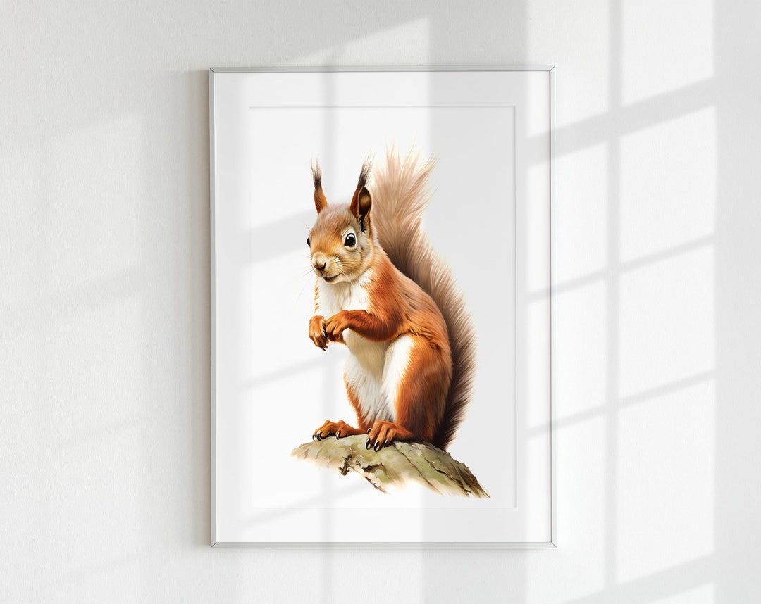 Red Squirrel Wall Art PRINTABLE Forest Mammal Minimal Poster Botanical ...