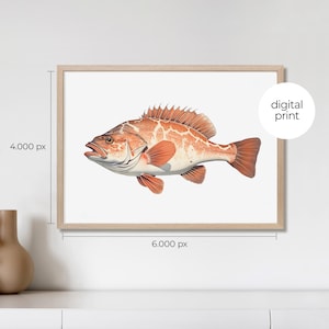 Grouper Print, Fish Print, Grouper, Wall Art, Wall Print, Fish Poster ...