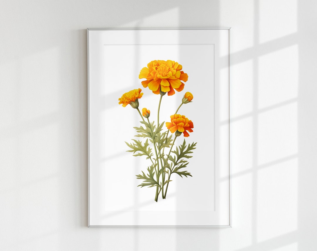 Marigold Wall Art PRINTABLE Yellow Flower Print Plant Leaves Petal ...